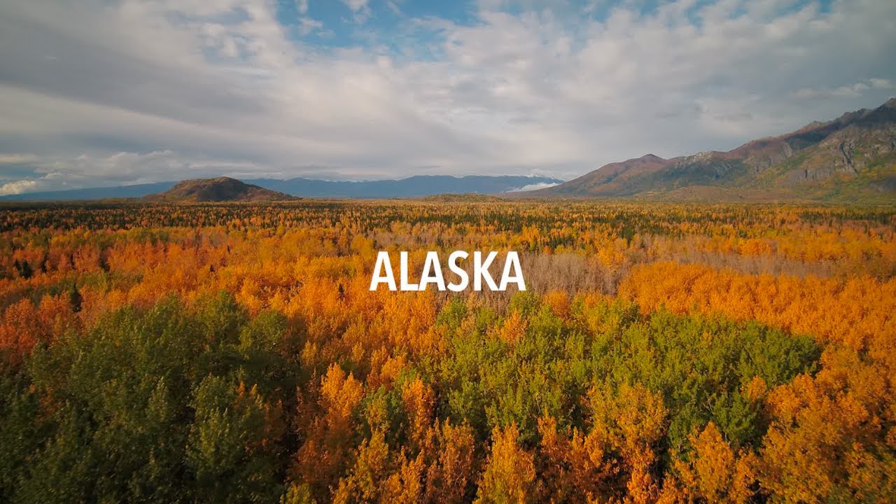 Alaska Travel 2021 - 10 Things You Should Know Before You Go & Things ...